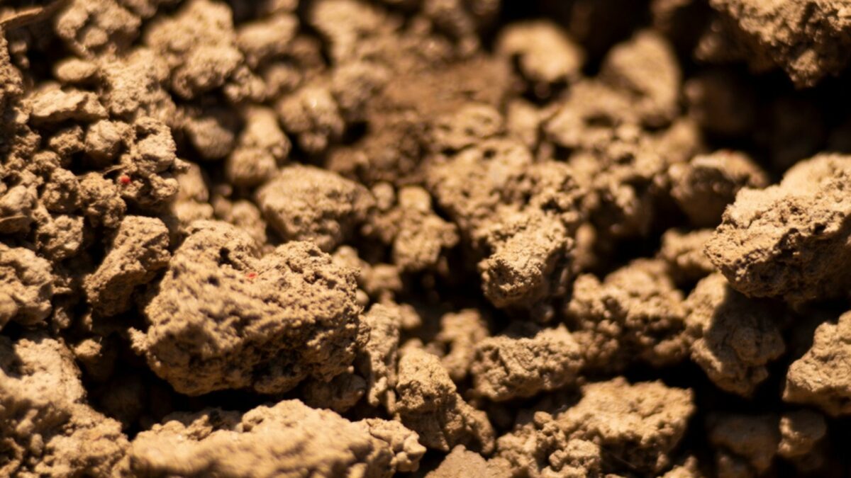 20 Smart Ways To Use Clay Soil Instead Of Fighting It