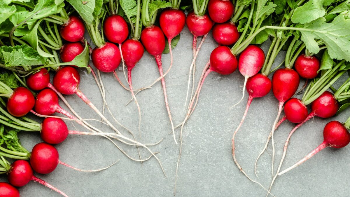 20 Smart Ways To Use Radish Tops In Your Garden