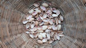 20 Surprising Ways to Use Pistachio Shells In Your Home And Garden