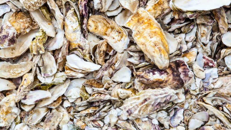 31 Gardening Tips From Grandma That Still Work Wonders Today