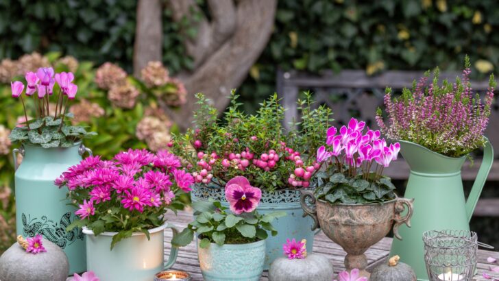 How To Arrange Pots In The Garden - 20 Things To Consider When Adding ...