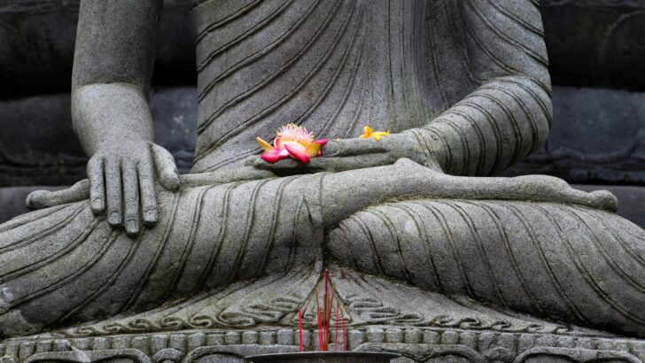 Here’s The Real Meaning And Symbolism Behind The Lotus Flower