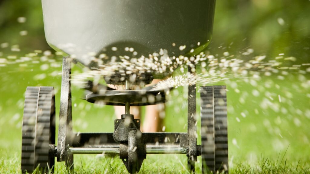 Here’s When And How To Apply Weed And Feed To Your Lawn For The Best ...