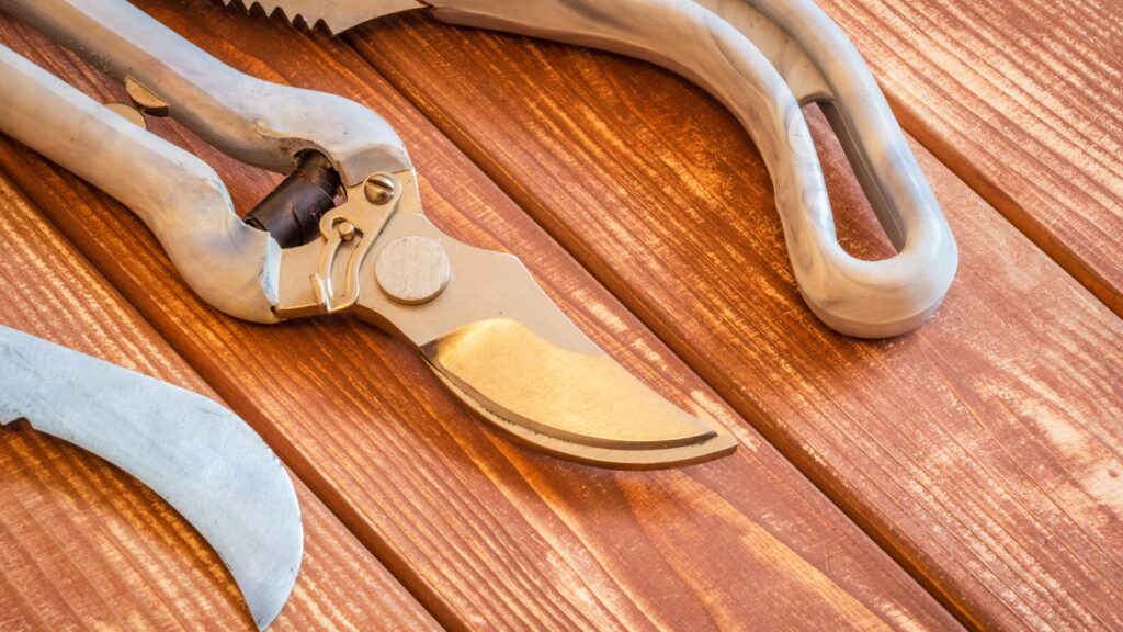 When Is The Perfect Time To Prune Bushes And Shrubs (And How To Do It ...