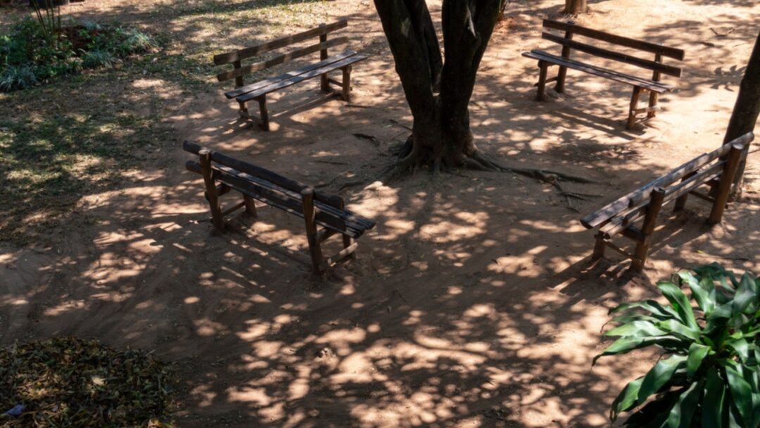 28 Amazing Landscaping Ideas Around Exposed Tree Roots