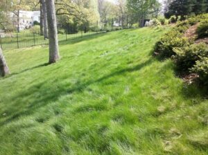 29 Brilliant Sloped Backyard Ideas That Will Maximize The Most Of Your ...