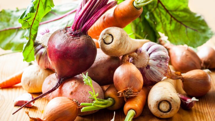 15 Organic Root Vegetables To Start Indoors For A Faster Harvest – And ...