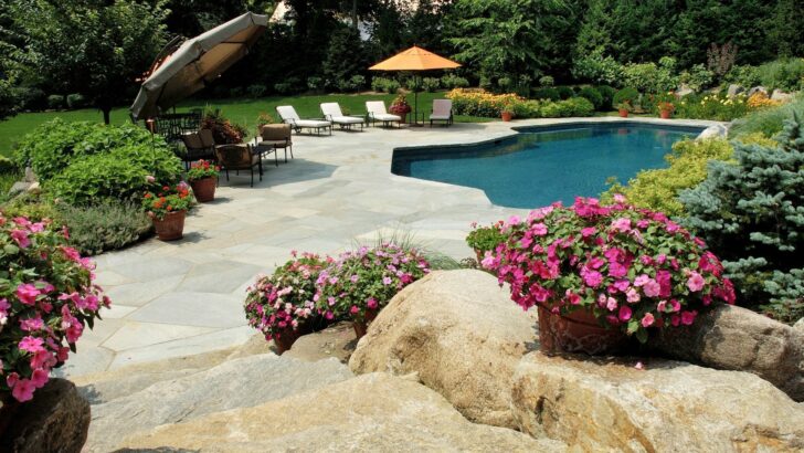 15 Pool Garden Ideas For An Amazing Natural Swimming Oasis (And How To ...