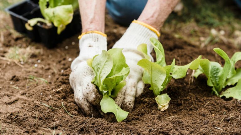 17 Spring Planting Tips Every Gardener Should Know (And Common Mistakes ...