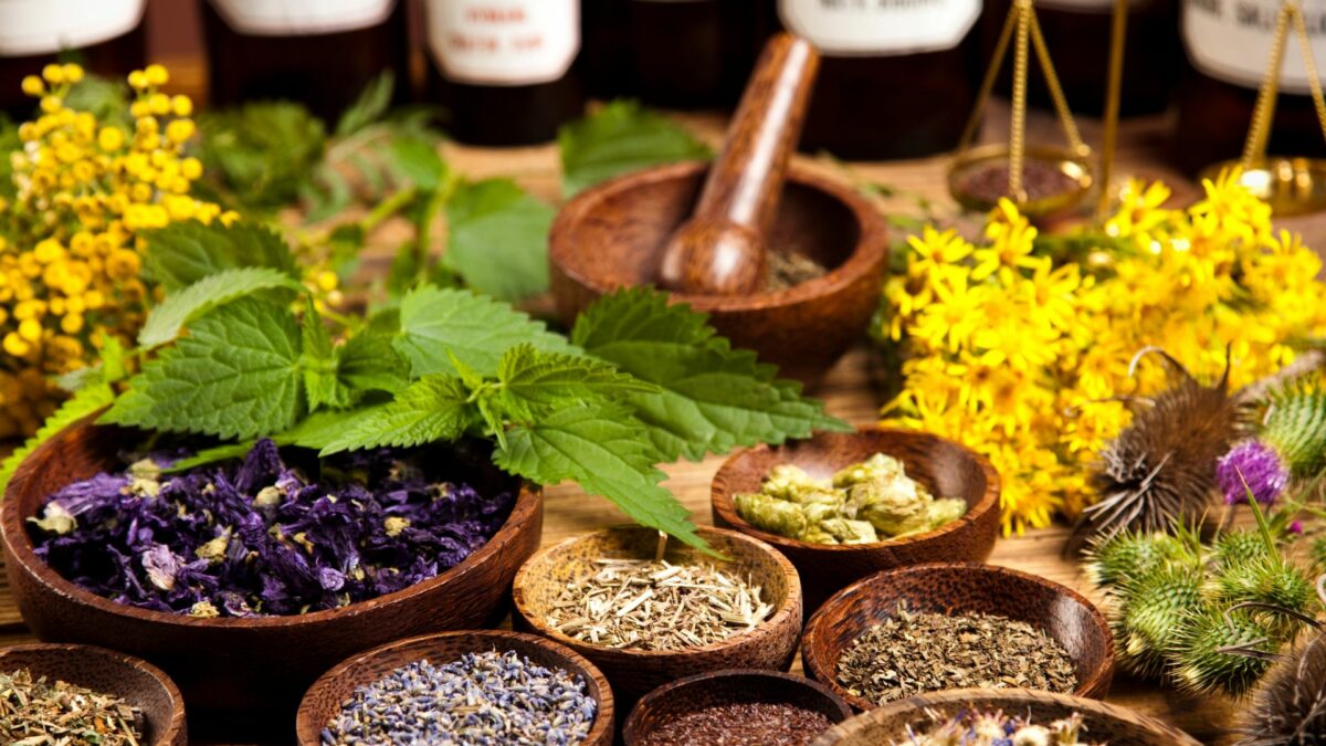 18 Essential Medicinal Plants For An Organic Garden (Plus The Best Ways ...