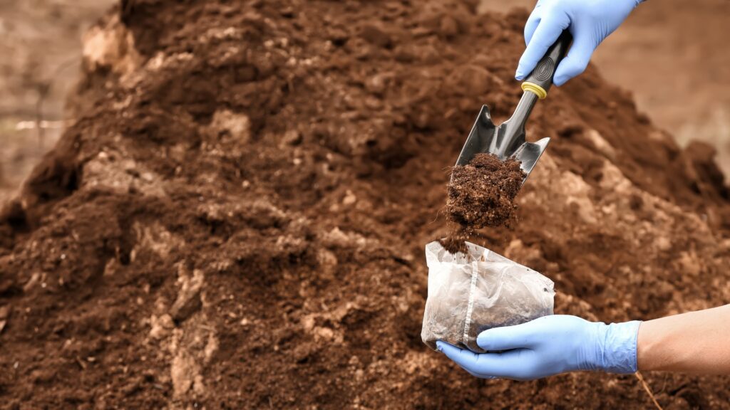 18 Things You’re Doing Wrong When Acidifying Soil (Plus What To Do Instead)