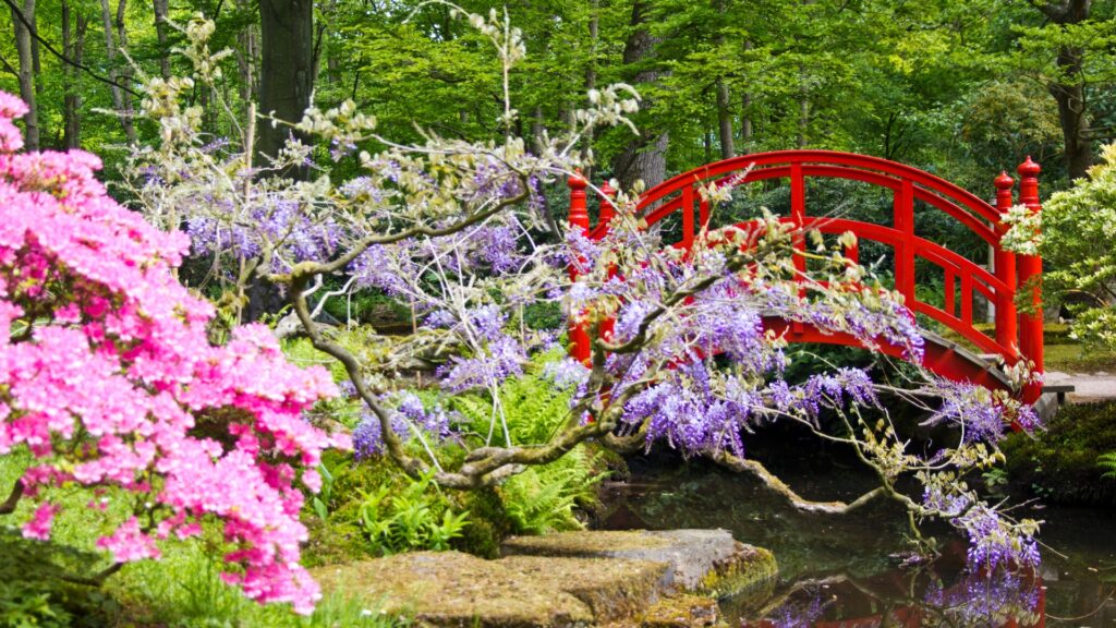20 Best Plants For A Japanese Garden According To Expert ...