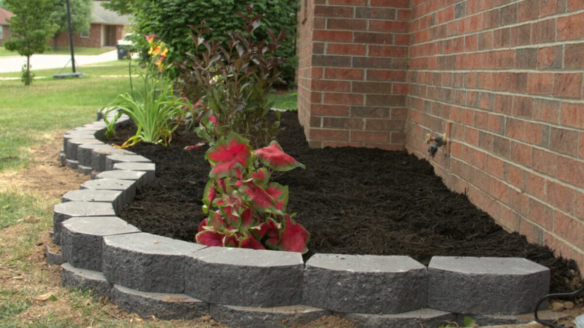 20 Black Mulch Landscaping Ideas (Plus Some Easy To Maintain)