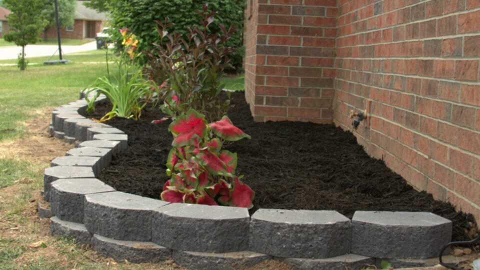20 Black Mulch Landscaping Ideas (Plus Some Easy To Maintain)