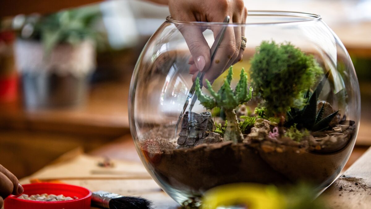 20 DIY Terrarium Hacks You’ll Wish You Knew Sooner (And More Ideas For ...