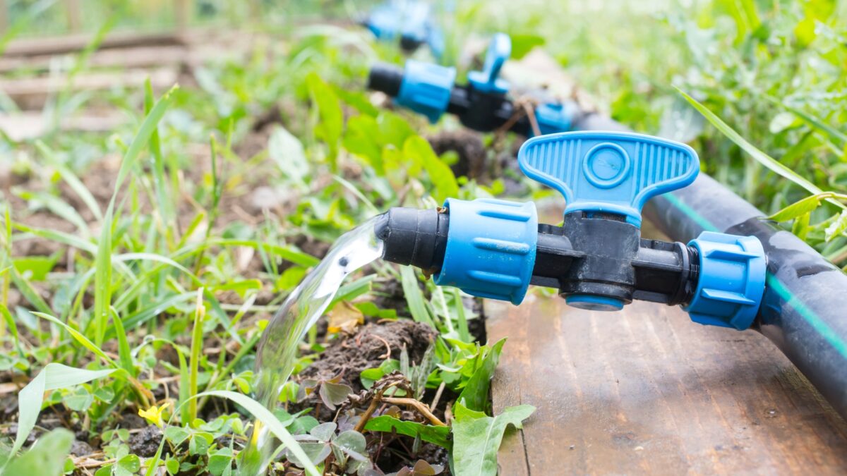 20 Steps To Setting Up A Drip Irrigation System (Plus Simple Tips To ...