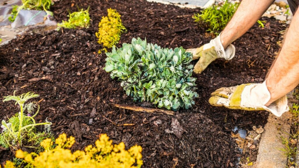 20 Ways To Revive Your Garden After Winter In April (And 9 More To ...