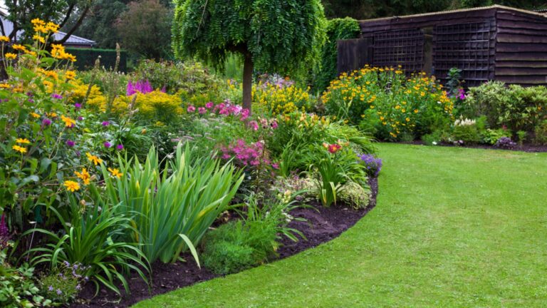 22 Filler Plants Perfect For Creating A Lush, Layered Garden That Looks ...