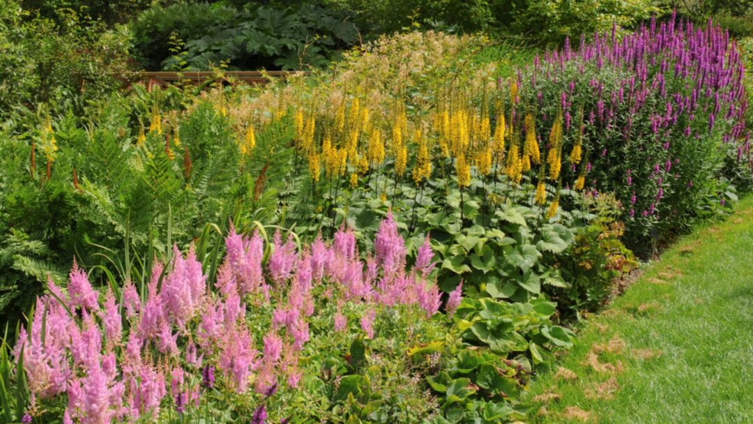 28 Ways To Create A Low-Maintenance Perennial Border That Lasts (With ...