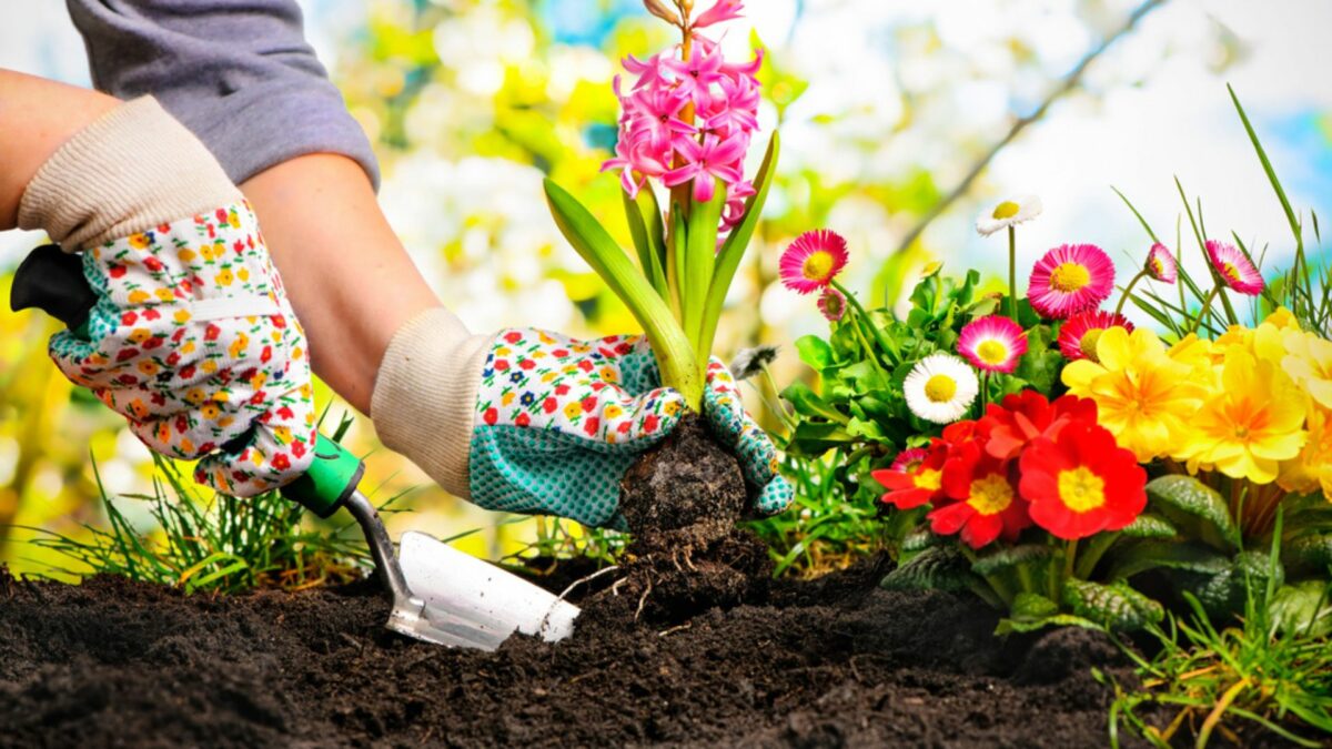 32 Tips And Tricks To Get Your Garden Ready For Spring (With Must-Know ...