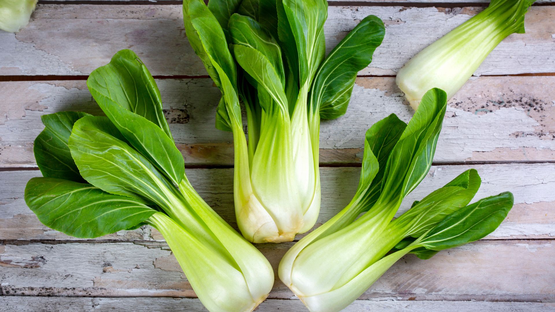 32 Vegetables That Are Perfect For Square Foot Gardening