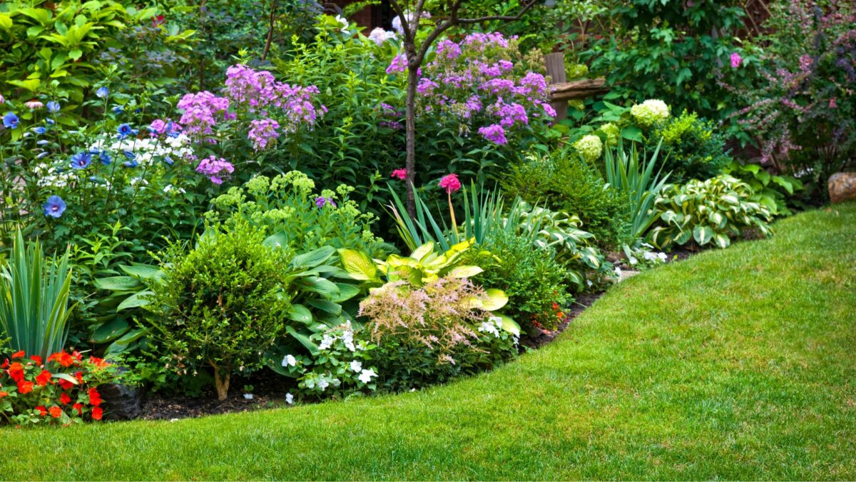 35 Best Plants For A Lush & Low Maintenance The PNW Garden (With More ...