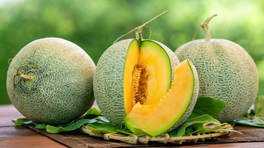 The Best 24 Organic Melons To Start Indoors For Juicier Fruits