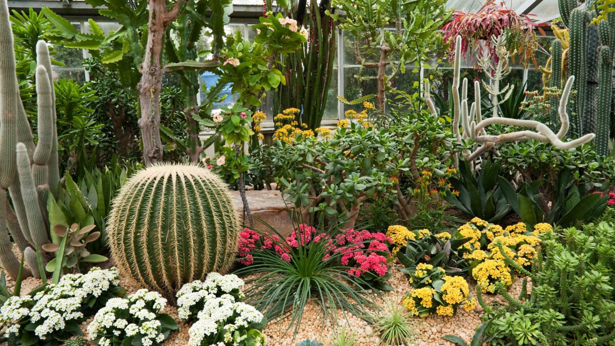 The Ultimate Guide To Texas-Friendly Landscaping With 24 Natives (And ...