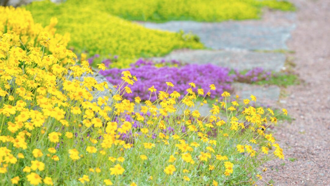 22 Reasons Why You Should Use Ground Cover Plants In Your Flower Beds ...