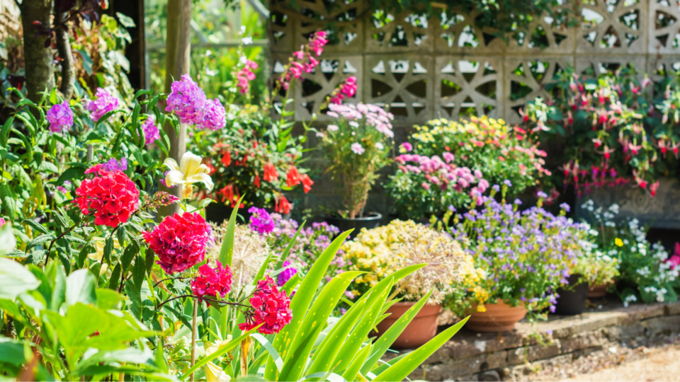 30 Easy Plants To Bolster Backyard Landscaping (Plus 10 That Are Not A ...