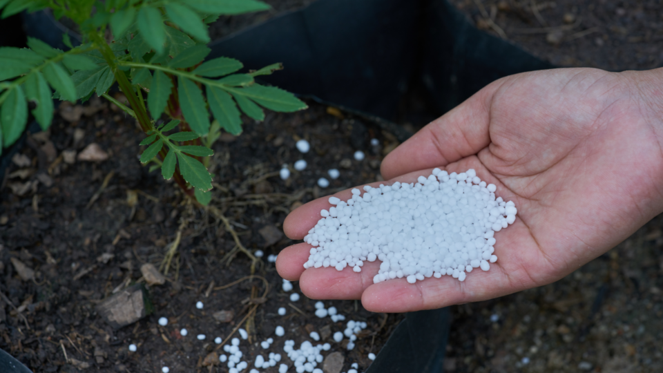 10 Ways How Add Calcium To Your Soil For Healthier Plants (And 10 ...