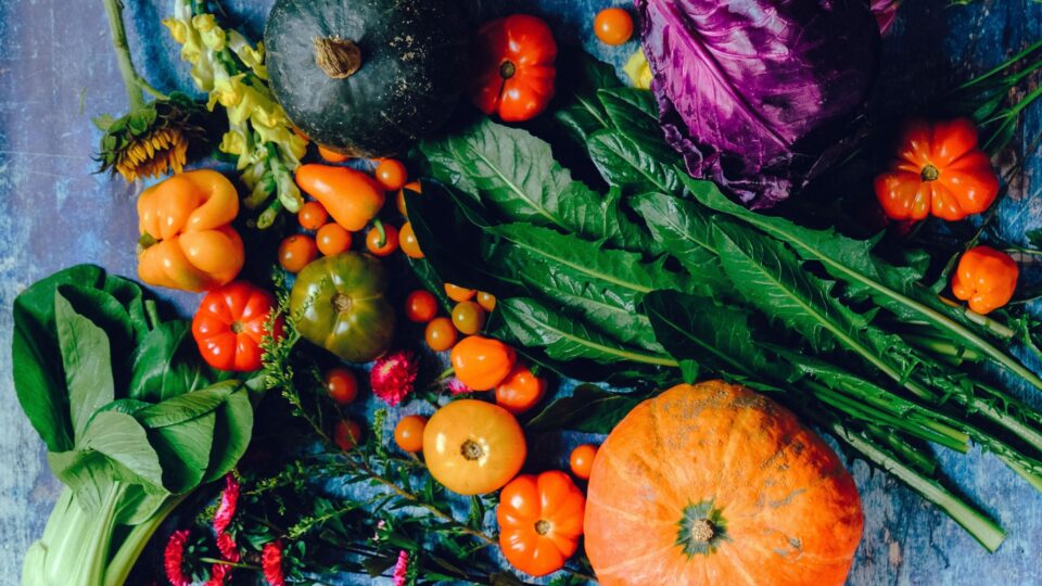When To Plant 20 Most Popular Vegetables (And A Few Other Champions ...