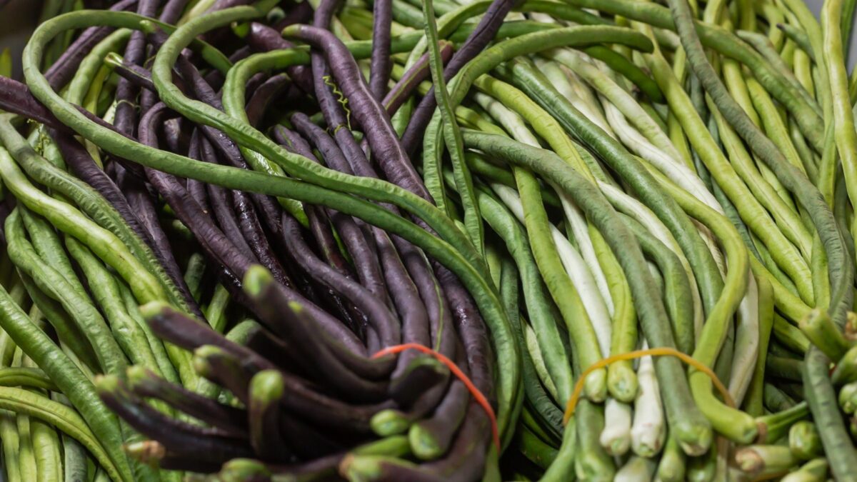 26 Vegetables That Are Perfect For Vertical Gardens