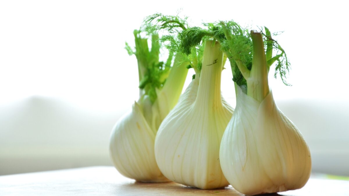 30 Plants Perfect For A Hydroponic Indoor Garden