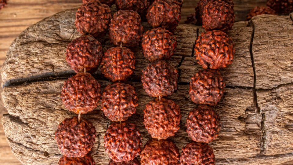 31 Types Of Fruits That Went Extinct (And What We Lost Forever)