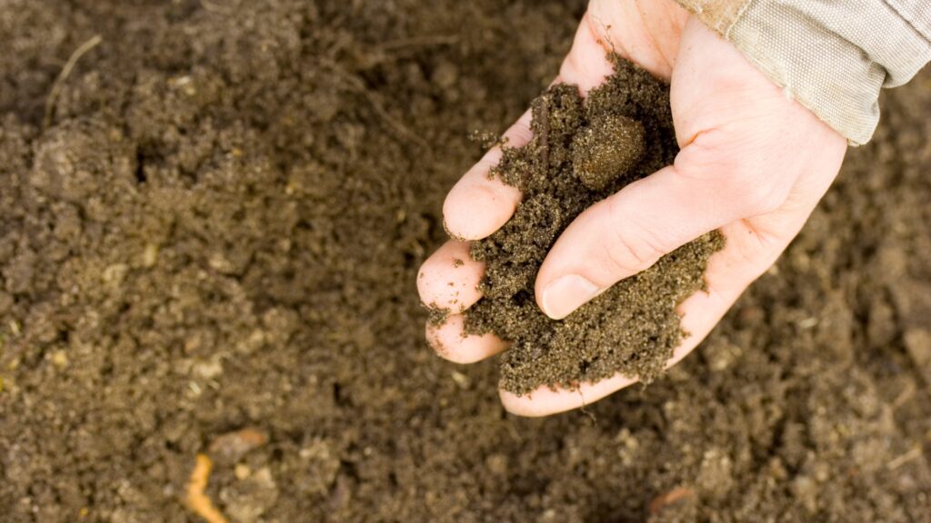 12 Surprising Facts About The Color Of Your Garden Soil (And A Few ...