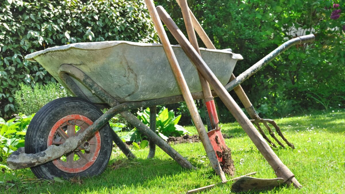 15 Ways People Used to Grow Food Without Modern Tools (And Why They ...