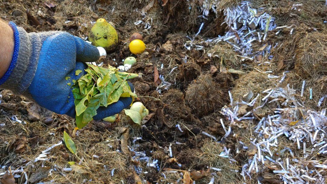 16 Genius Uses For Shredded Paper In Your Compost Pile