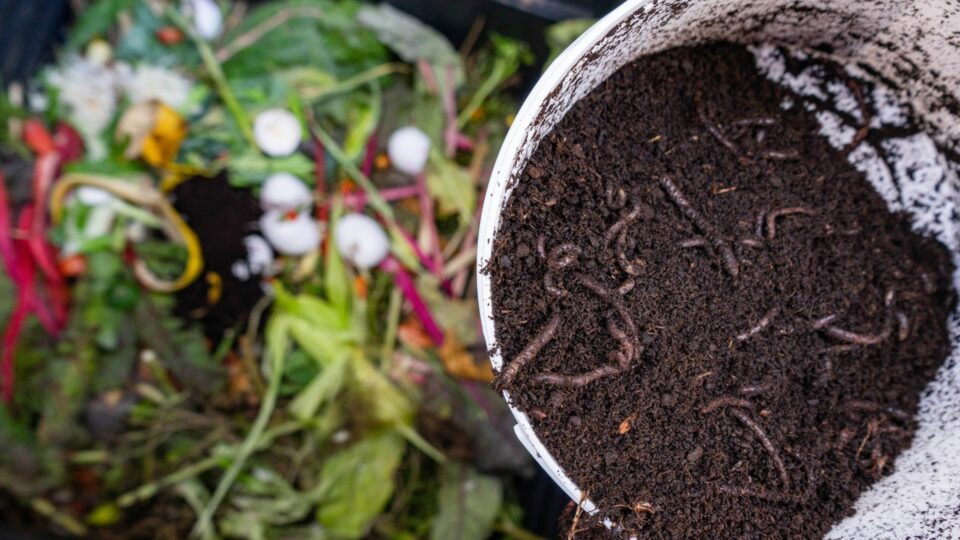16 Types Of Composting You Should Try (And 2 That Are Just Not Worth ...