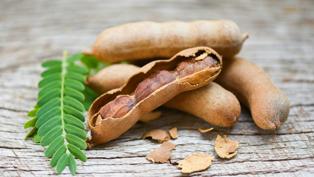 17 Easy Steps To Grow Tamarind From Seed
