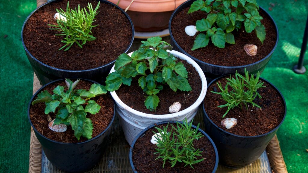 24 Best Tips To Start Your Own Container Garden (Even If You’re A Beginner)