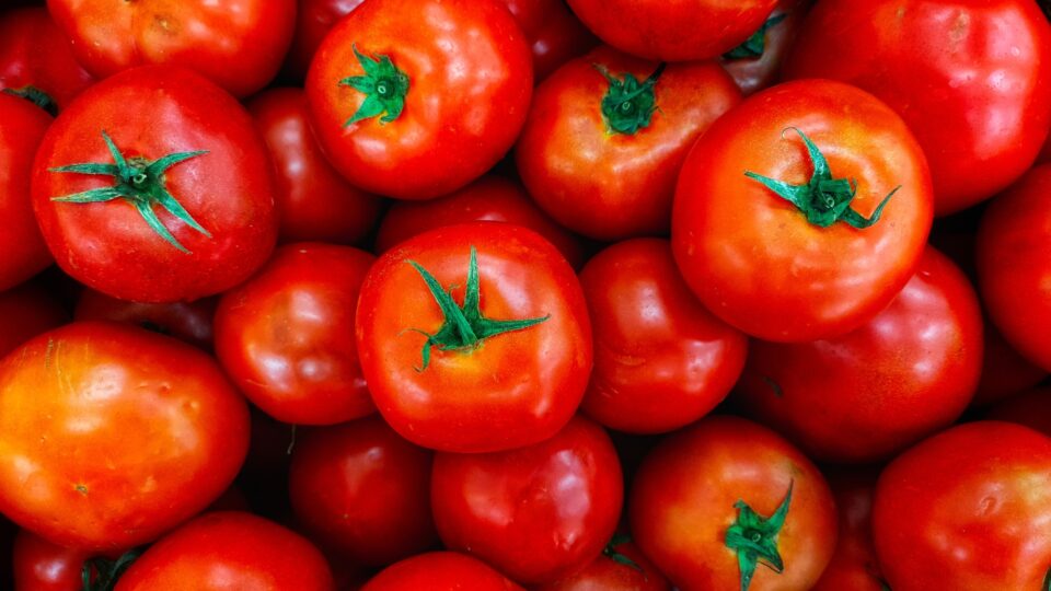 24 Tomatoes That Ripen In Record Time And Still Taste Delicious