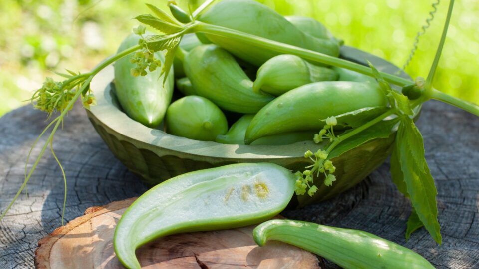 27 Rare Vegetables You’ve Probably Never Heard Of