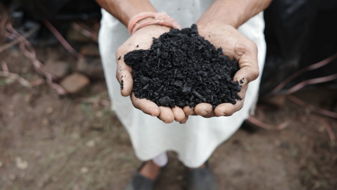 11 Essential Soil Ingredients You Should Add To Your Raised Beds