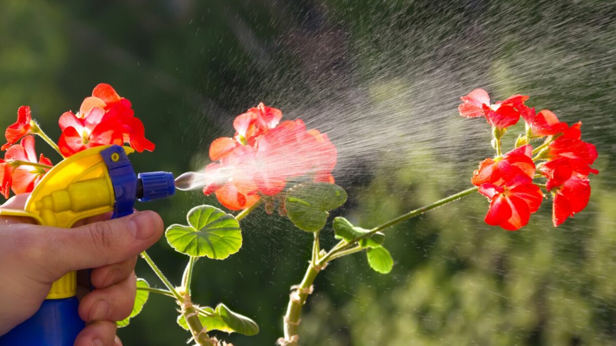 The 14 Best Flower Fertilizers (And 2 To Avoid)
