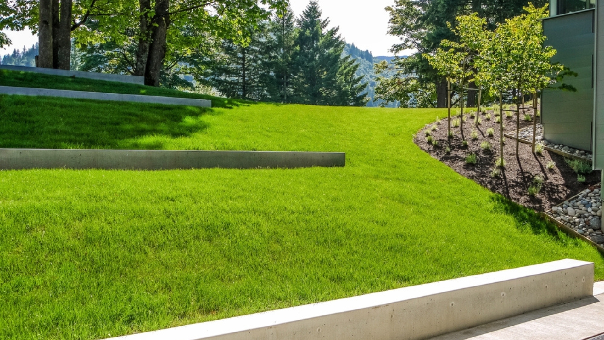 24 Mistakes You’re Probably Making When Watering Your Lawn, From a Pro