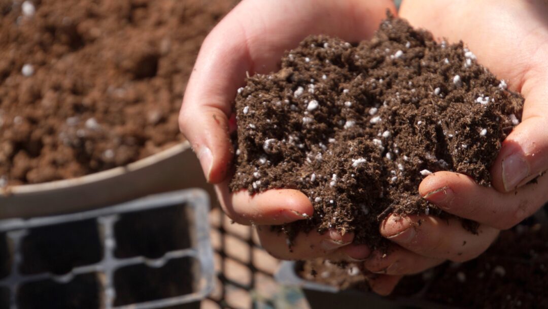 24 Mistakes That Are Ruining Soil Quality In Your Garden — And Easy ...