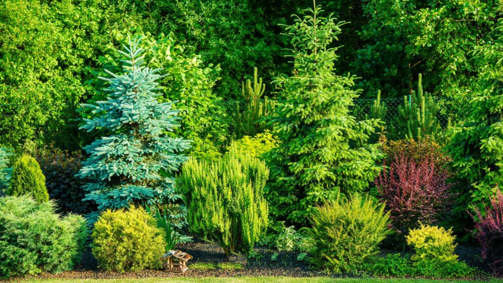 14 Trees That Turn Crowded City Yards Into Private Retreats (And A Few ...