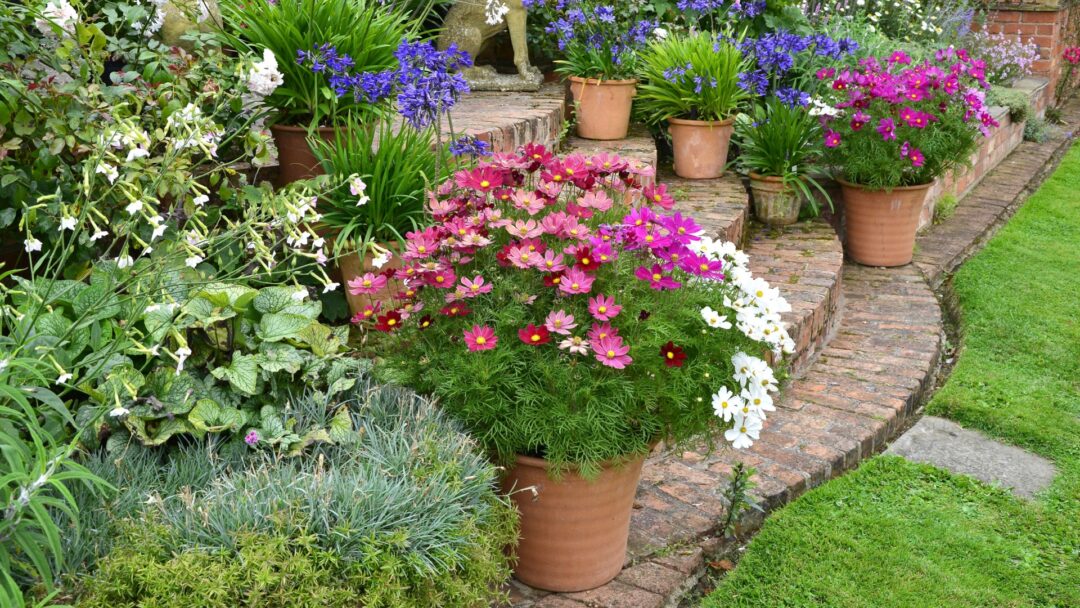 15 Container Garden Ideas For Summer That Actually Last (And A Few More ...
