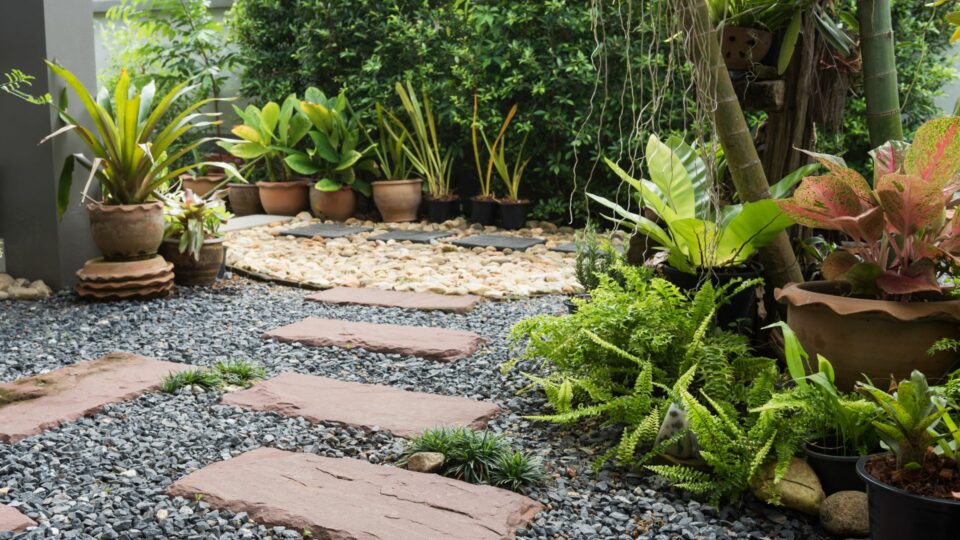 15 Drought-Tolerant Front Yard Ideas That Make A Big Impact With Less Water